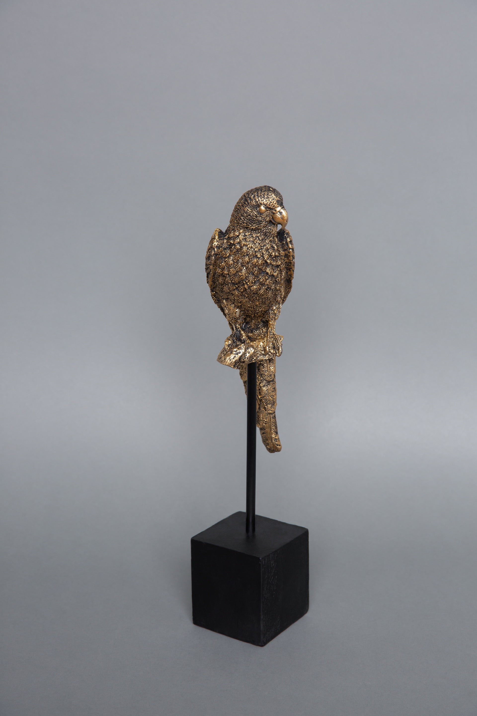 Parrot on stand / gold – Glasshouse Interior